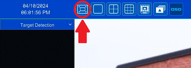 How to get rid of the Target Detection box in Full screen view - Speco Blue